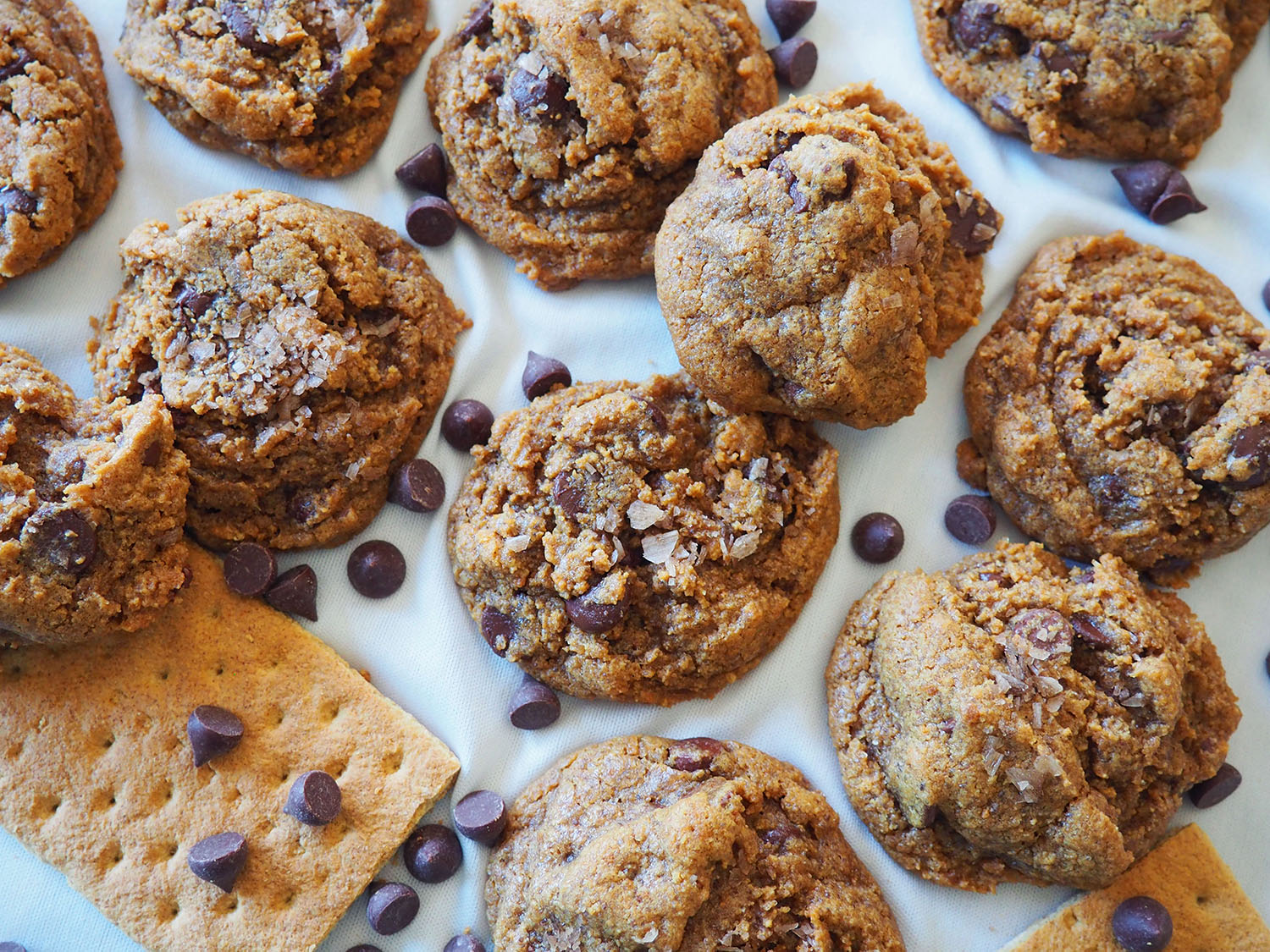 Graham Cracker Chocolate Chip Cookies - Oryana