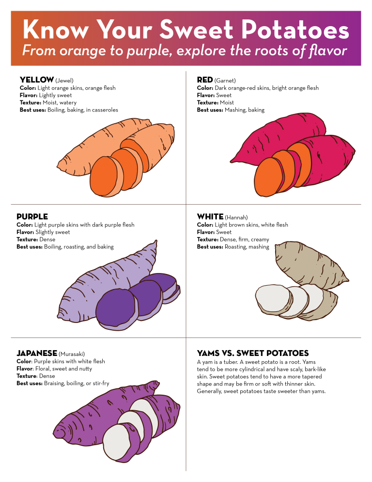 Know Your Sweet Potatoes: A Simple Field Guide - Oryana